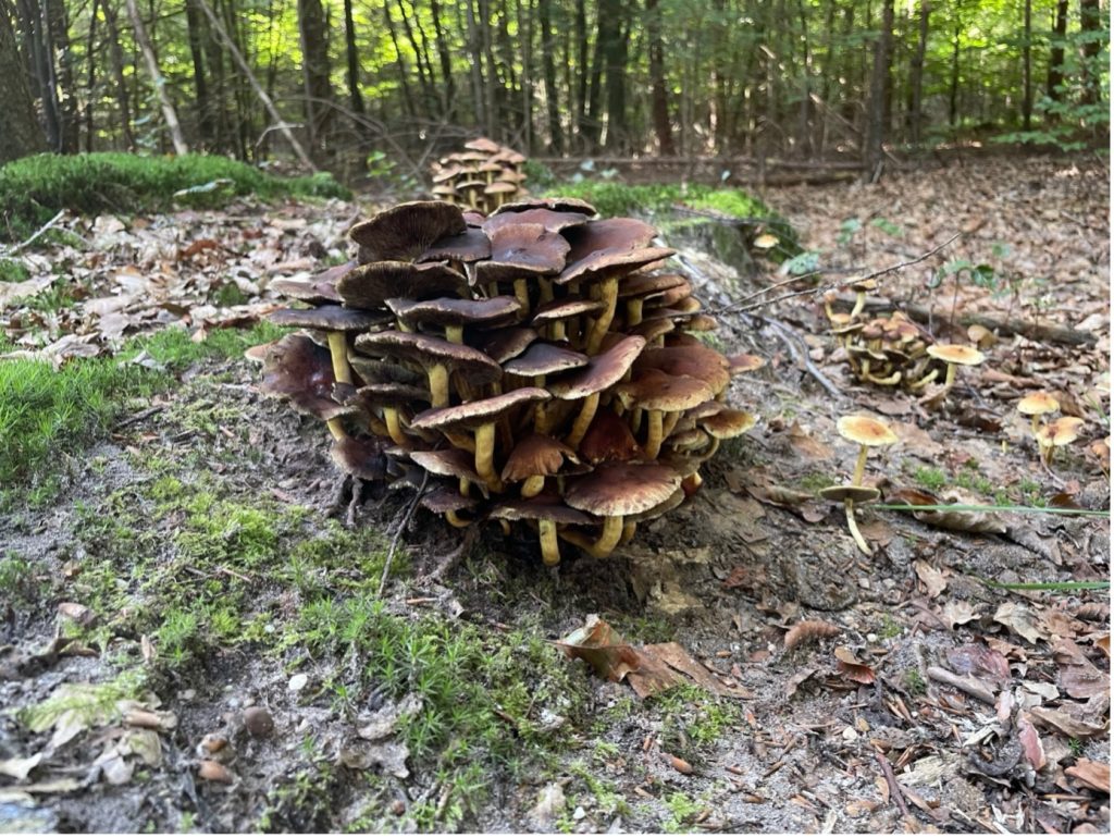 Eind augustus ‘23 - Licht & de Boer